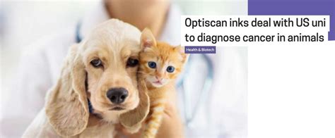 News News Optiscan Imaging Ltd News News Optiscan Imaging Ltd