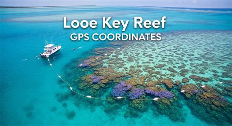 Looe Key Reef Gps Coordinates Guide And Regulations 2026