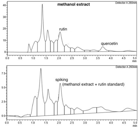 Chromatogram Of Methanol Extract And Spiking Methanol Extract With Rutin Download Scientific