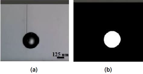 A Computational Tool For Detection And Parameters Estimation Of Microbubbles Generated With