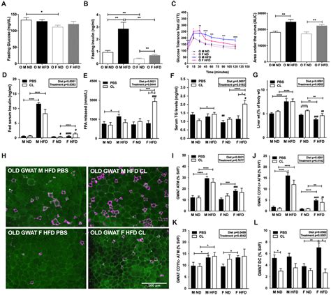 Female Adipose Tissue Has Improved Adaptability And Metabolic Health Compared To Males In Aged