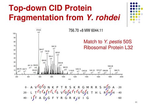 Ppt Peptidemapper Web Service Bioinformatics For Proteomics Analysis Powerpoint Presentation