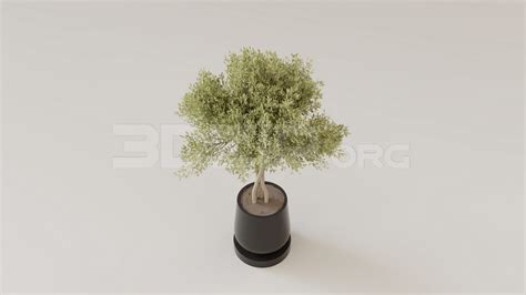 16117 free 3ds max tree model download