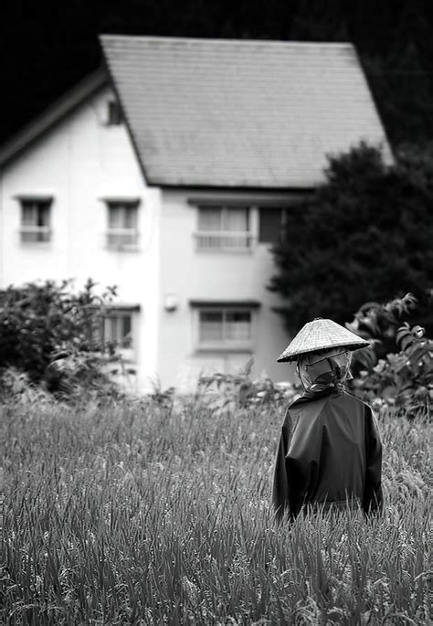 Its Hard Work Photograph By Brandon Hunter Fine Art America