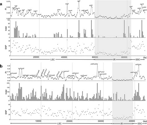 phylogenetic informativeness pi insertions deletions indels and