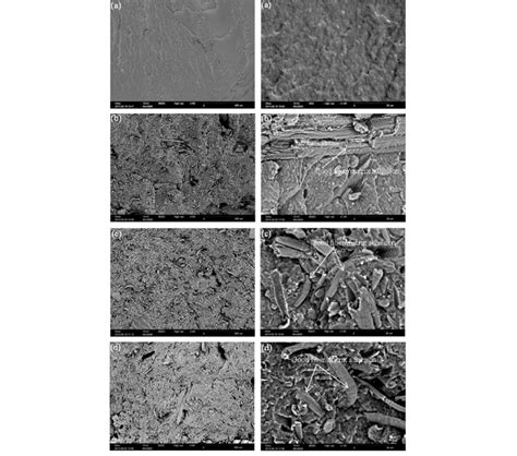 Sem Micrographs Of Fracture Surface Of A Neat Materbi B Download Scientific Diagram