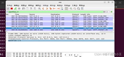 实验三：openflow协议分析实践 openflow controller和交换机的工作流程 测试 csdn博客