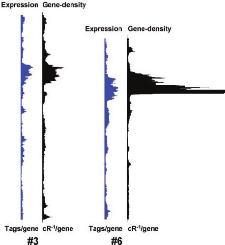 Comparison Of Median Gene Expression Levels And Gene Density For
