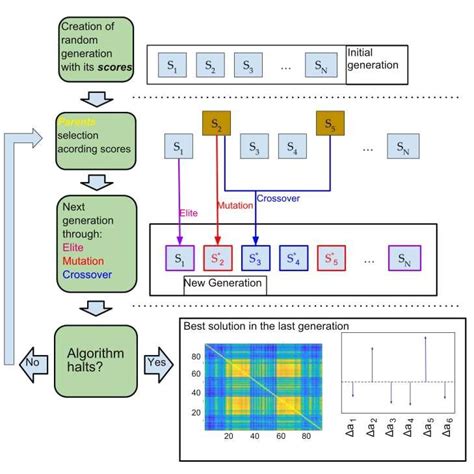 Schematic Of The Genetic Algorithm Implemented To Optimize The Group