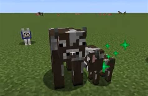 What Do Cows Eat In Minecraft Minecraft Building Inc