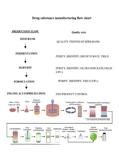 Bioprocess Flow Charts Pdf