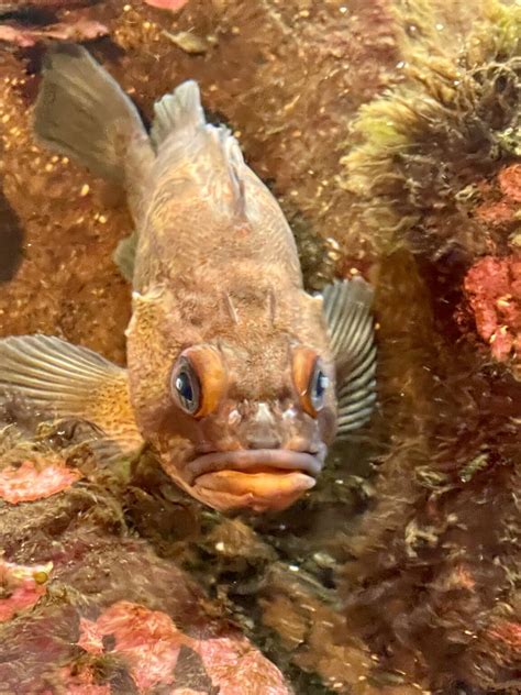 Kevin G On Linkedin Ai Chatgpt Techfun Seattleadventures Innovation