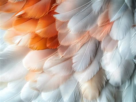 Feathers Texture Background Composition Premium Ai Generated Image