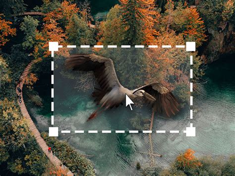 The Adobe After Effects Nuke VFX Production Bundle Gadget Hacks