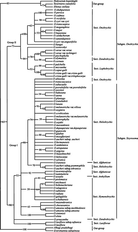 fifty percent majority consensus tree derived from the download