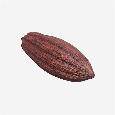 Cocoa Pod D Model CGTrader