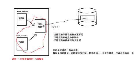 Linux进程创建与状态管理 Csdn博客