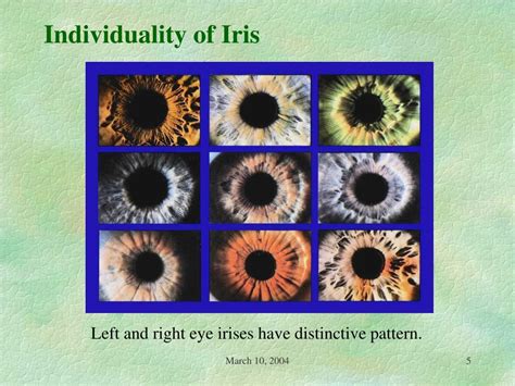 Ppt Iris Recognition Powerpoint Presentation Free Download Id 389039
