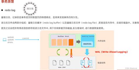 Mysql中innodb引擎（逻辑存储结构、架构、事务原理、mvcc） Csdn博客