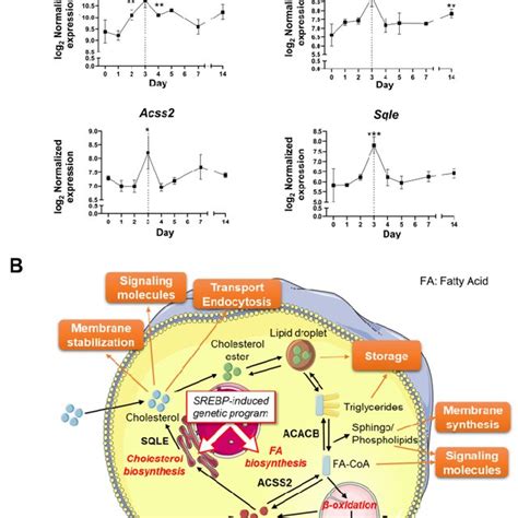 Rna Seq Analysis Of Inflammasome Pathway During Chronic Inflammation Download Scientific