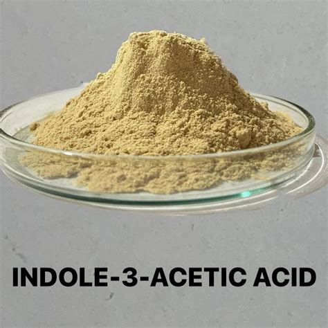 Indole 3 Acetic Acid Powder At ₹ 5000 Kg Mumbai Suburban Mumbai Id 2854978833962