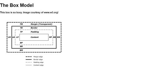 15 Css Box Model Examples With Code Snippet Onaircode