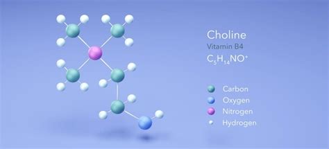 Choline Compound Over 244 Royalty Free Licensable Stock Illustrations