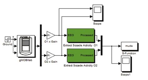 Schematic Of EEG Signal Acquisition And Conditioning Process Download Scientific Diagram