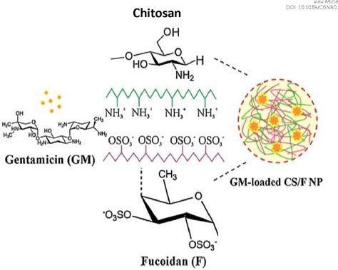 Figure 4 From Recent Advances In Chitosan Based Nanoparticulate
