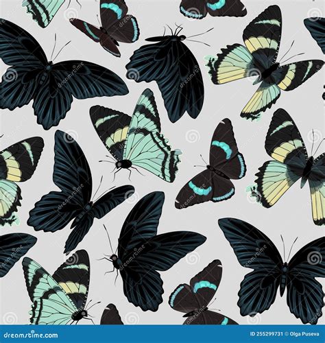 Vector Pattern With High Detailed Tropic Butterfly Stock Vector
