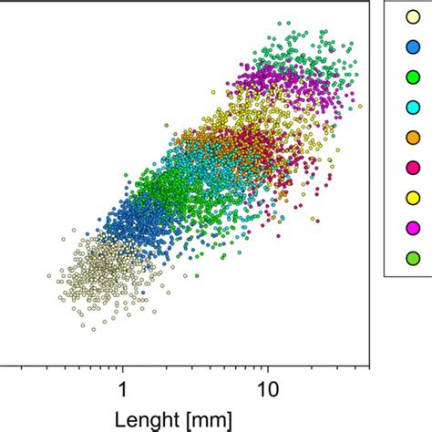 length and width distribution of the particle size fractions colors