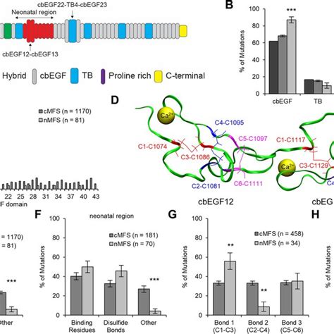 Fibrillin 1 Mutations Associated With Classical Mfs Cmfs And Neonatal