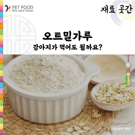 강아지 오트밀가루 먹어도 될까 부드럽지만 주의할 점은 네이버 블로그