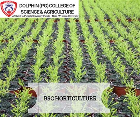 BSc Horticulture Horticulture College Agriculture