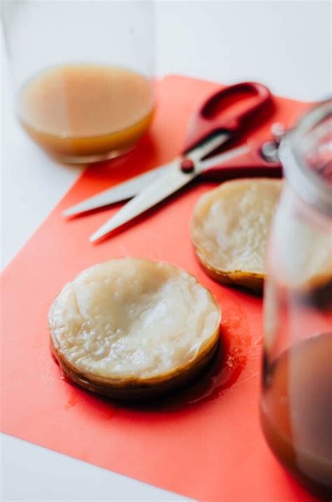 Kombucha Scoby Candy For Using Extra Mothers Live Eat Learn