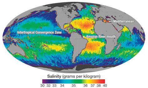 Understanding Salinity Distribution Factors And Effects Digitally