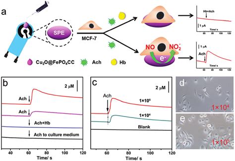 A Illustration Of The In Situ Detection Of NO B Real Time In Situ Download Scientific