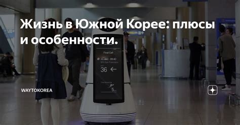 Жизнь в Южной Корее плюсы и особенности Waytokorea Дзен