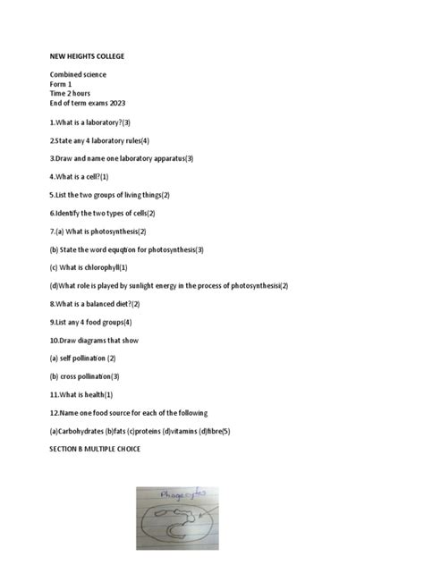 1 Form 1 Science End Of Term Pdf