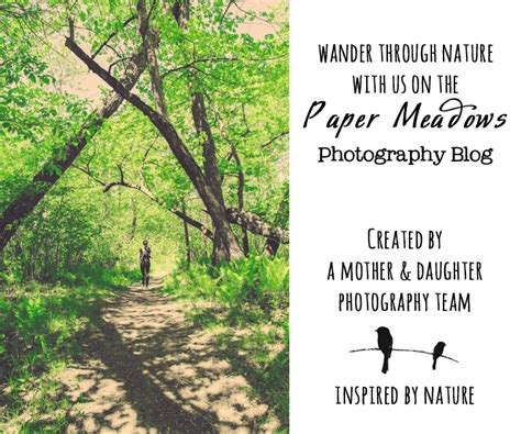 Paper Meadows Photography Tulip Garden Wall Art Free Printable
