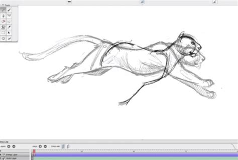 How To Animate A Four Legged Run Cycle Animation Tutorial