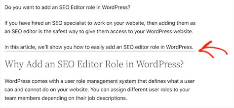 A Custom Divider Created Using The WordPress Block Editor