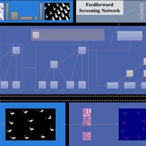 Left Standard Convolution Operator Right Deformable Convolution Download Scientific Diagram