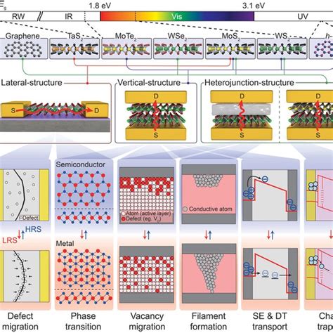 Single‐layer Mos2 Memtransistors Mediated By Grain Boundaries A