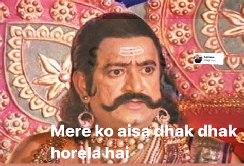 Prof Cheems ॐ Prof Cheems X Profile Muskviewer