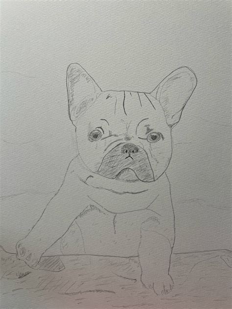 Tamayurakun 犬のフレンチブルドックを描いた色鉛筆画｜tamayurakunsblog