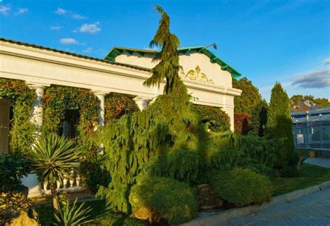 Elevate Your Outdoor Space With 20 Beautiful Cypress Options