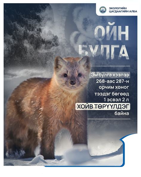 Экологийн Цагдаагийн Алба Ойн булга Ховор зүйл ДБХХ ны Улаан дансны ангиллын шалгуураар