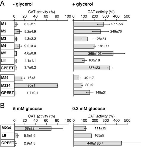 Transient Cat Assays To Delineate Gre A Transient Transfection Of