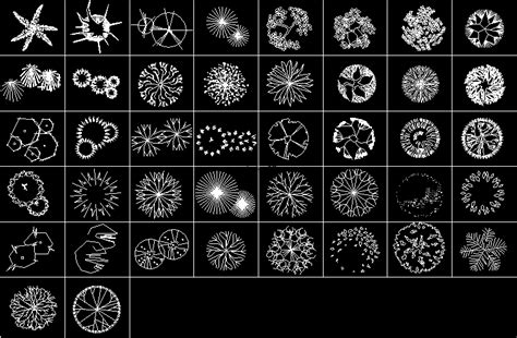 CAD Blocks Of Tree Top Views In DWG 305 03 KB CAD Library